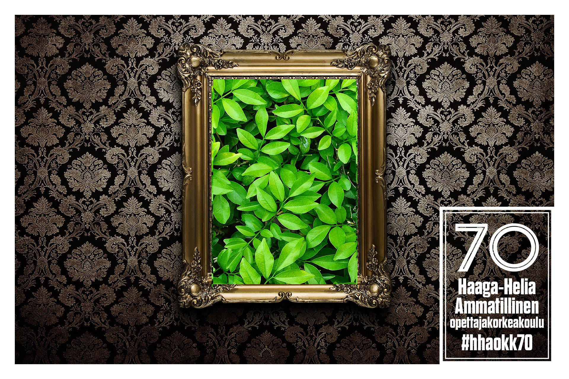 Taika-Jim tekee hypnoottisen eleen: osaamisen arvioinnin filosofiaa ...